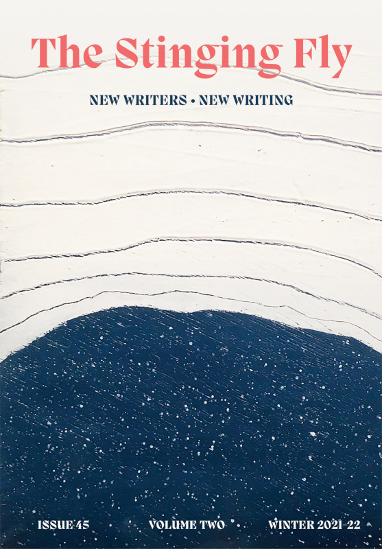 Book Launch: The Stinging Fly Winter Issue | Temple Bar Gallery + Studios