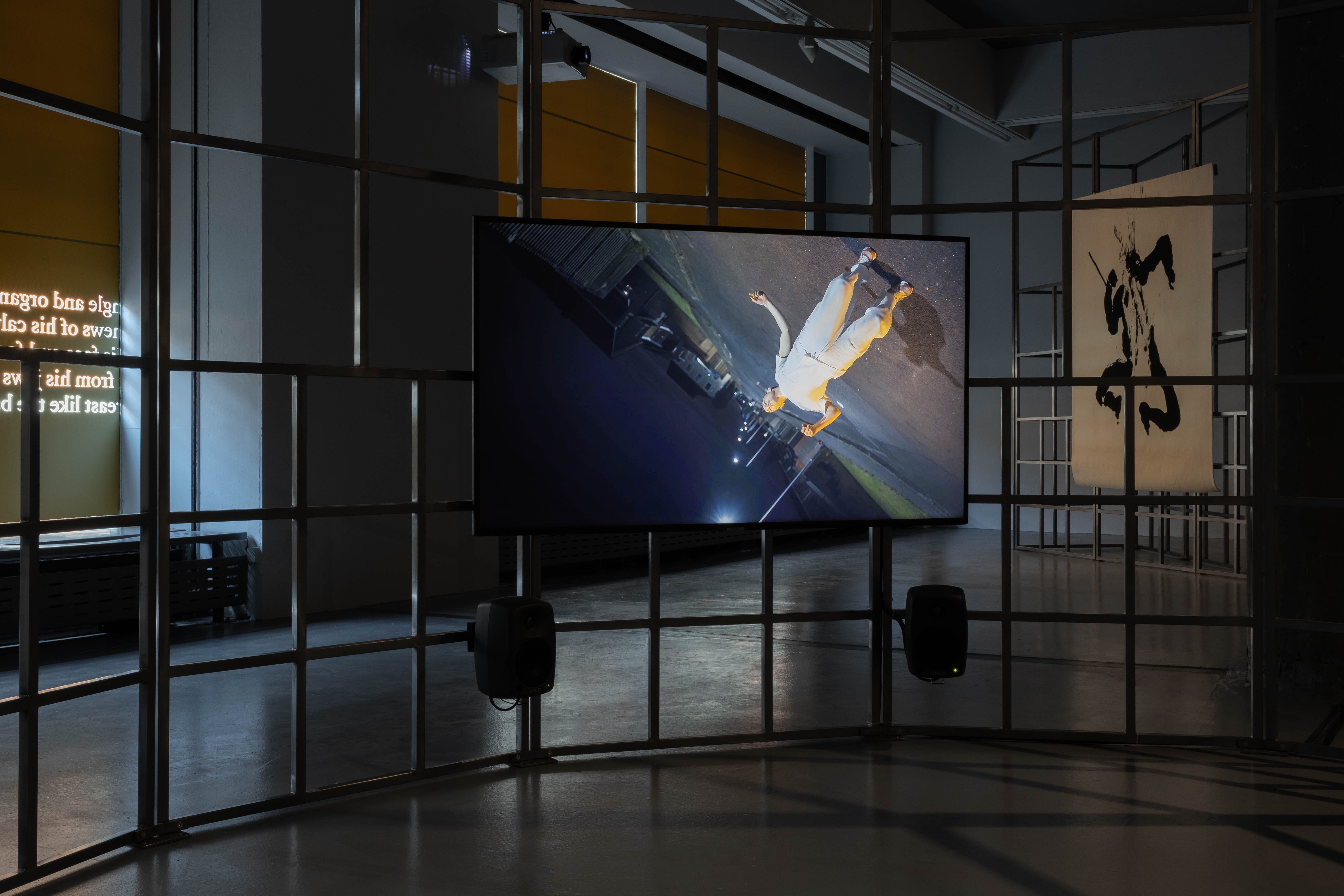 Commissioned Writer: Thomas Morris 'C21H30O5' | Temple Bar Gallery ...